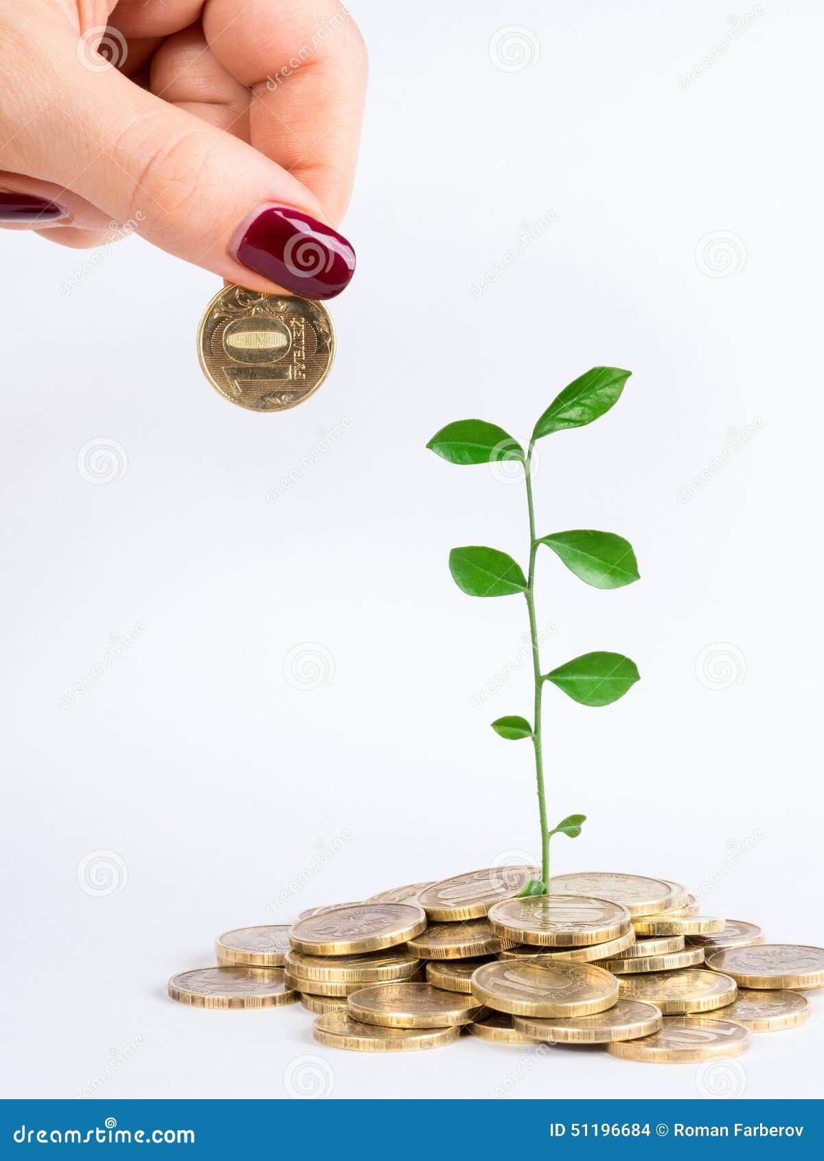 Sprout and coins stock photo. Image of bank, investment - 51196684