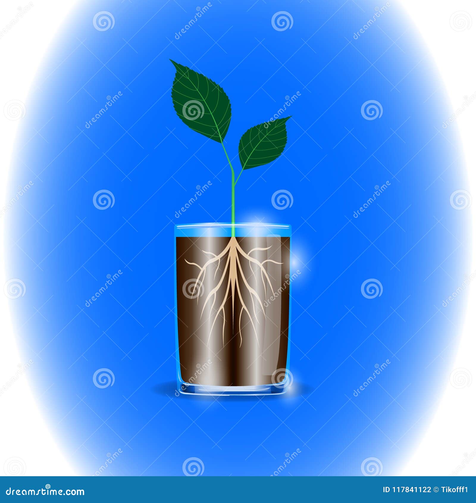 Sprout with Green Leaves and Light Root in Clear Glass on Blue ...
