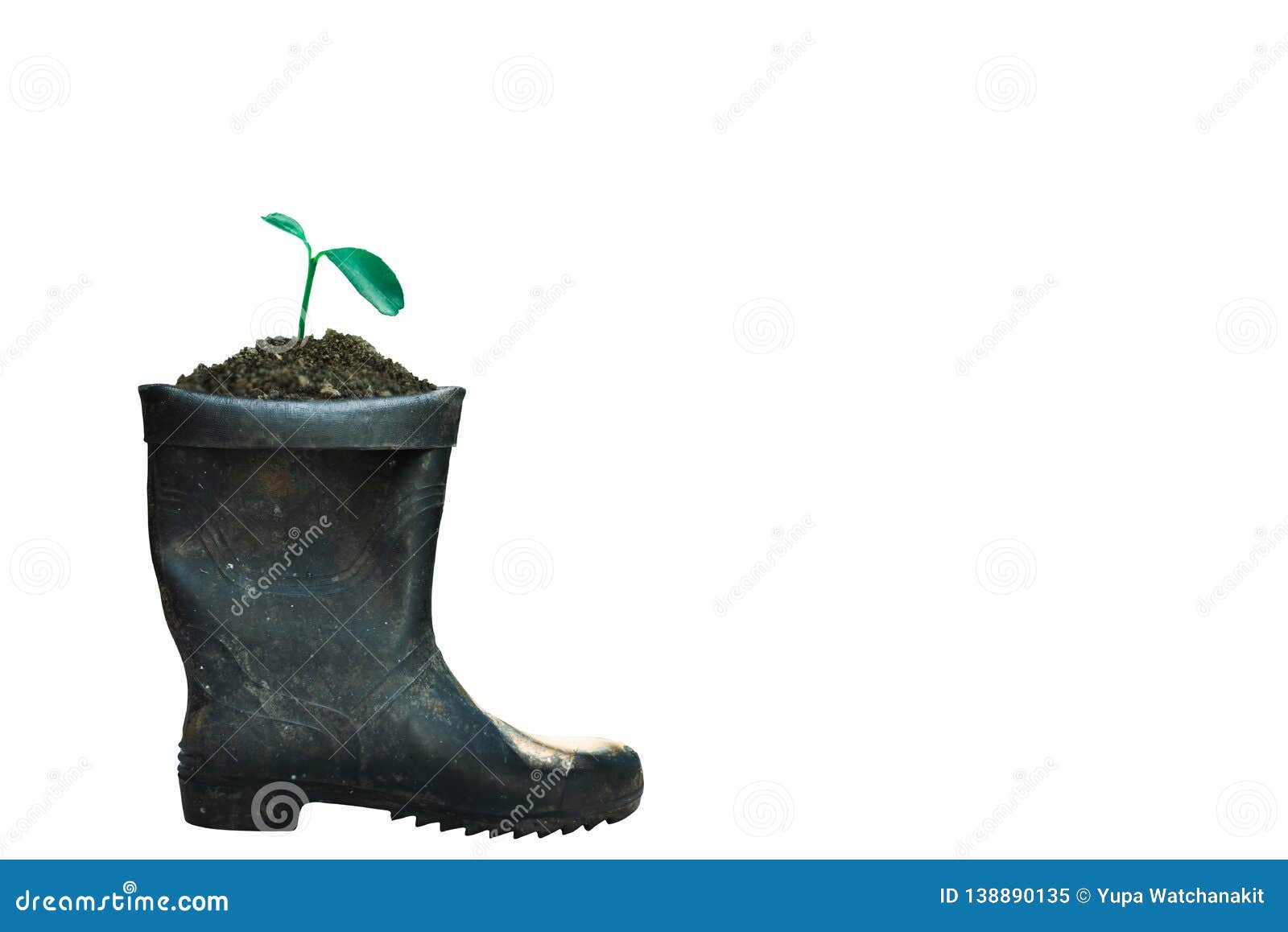 Sprout growing in boot stock image. Image of planting - 138890135
