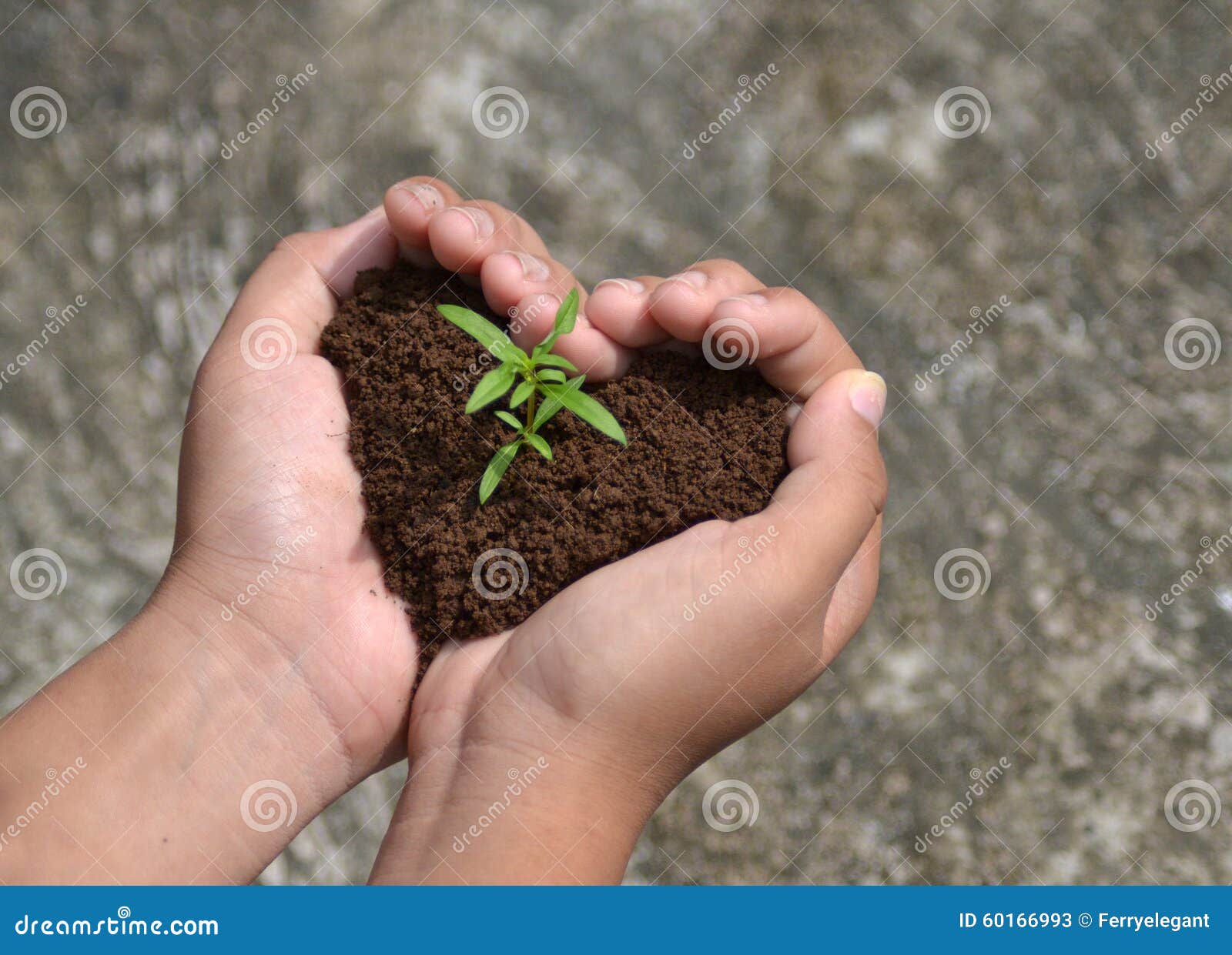 Sprout growing in love stock image. Image of care, hand - 60166993