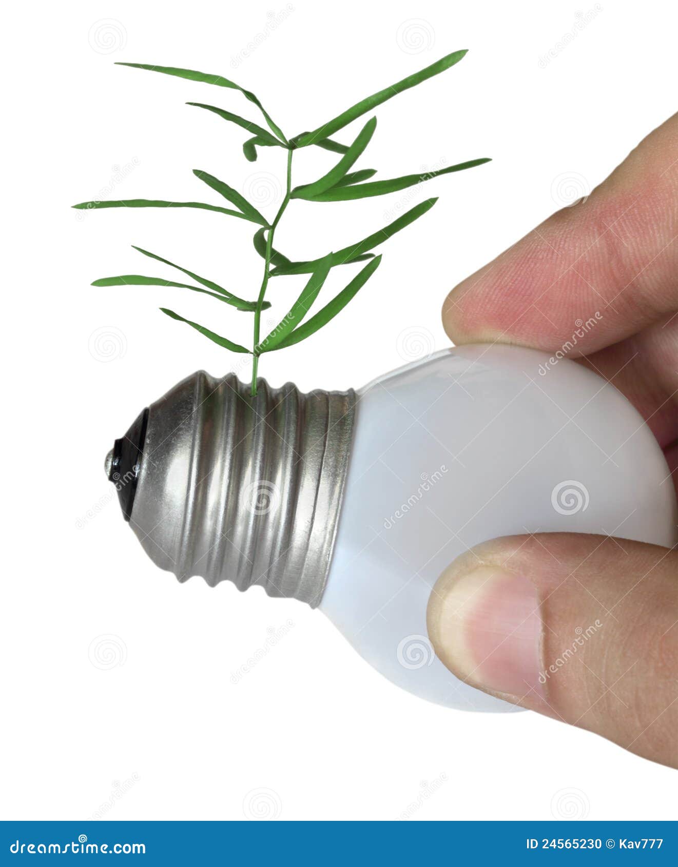 Sprout Growing Out of the Light Bulb Base Stock Photo - Image of ...