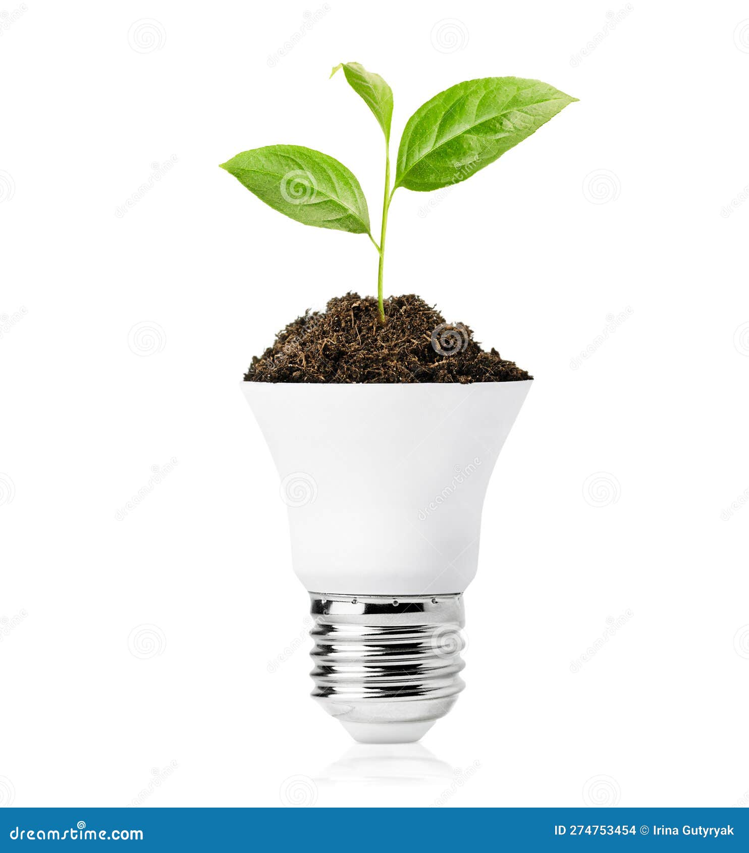 Sprout Grows from a Led Light Bulb Stock Photo - Image of saving ...