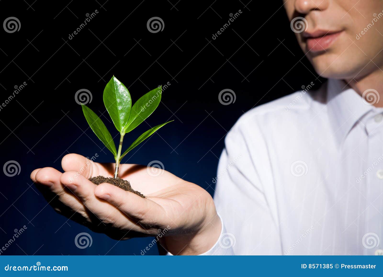 Sprout on hand stock image. Image of human, holds, background - 8571385