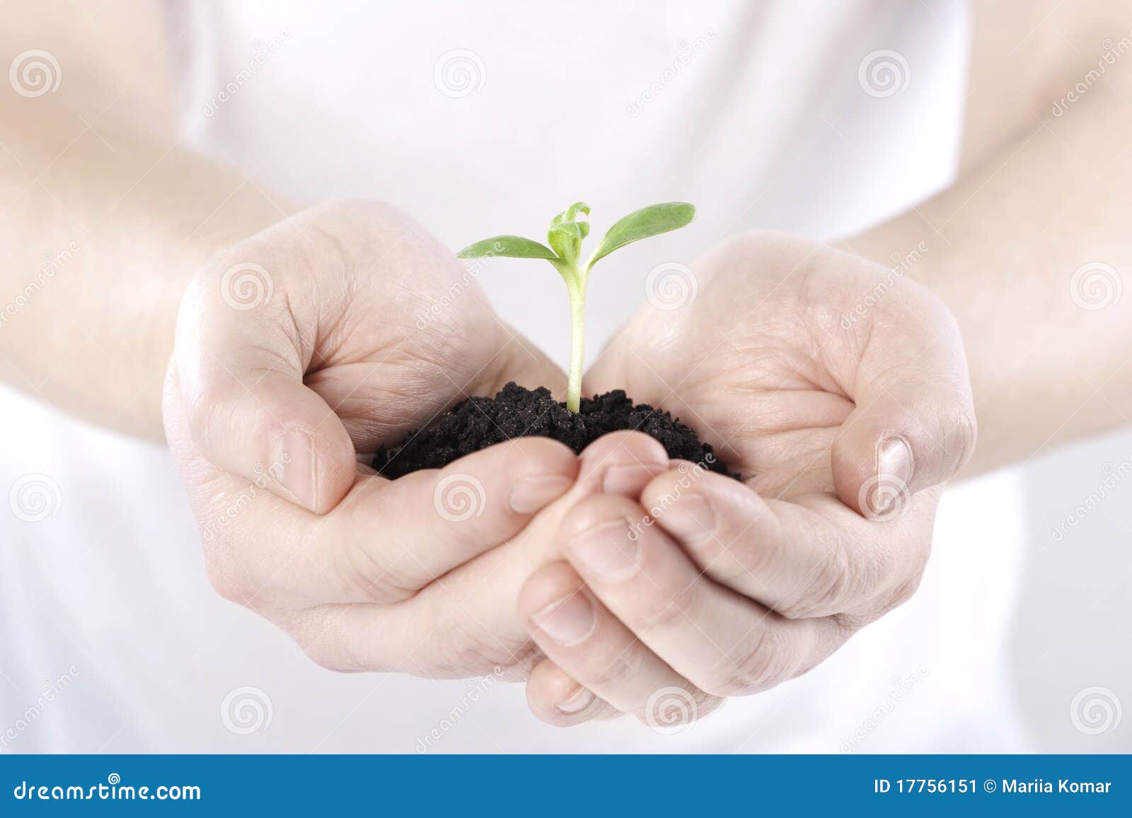 Sprout in hands stock image. Image of conceptual, growth - 17756151