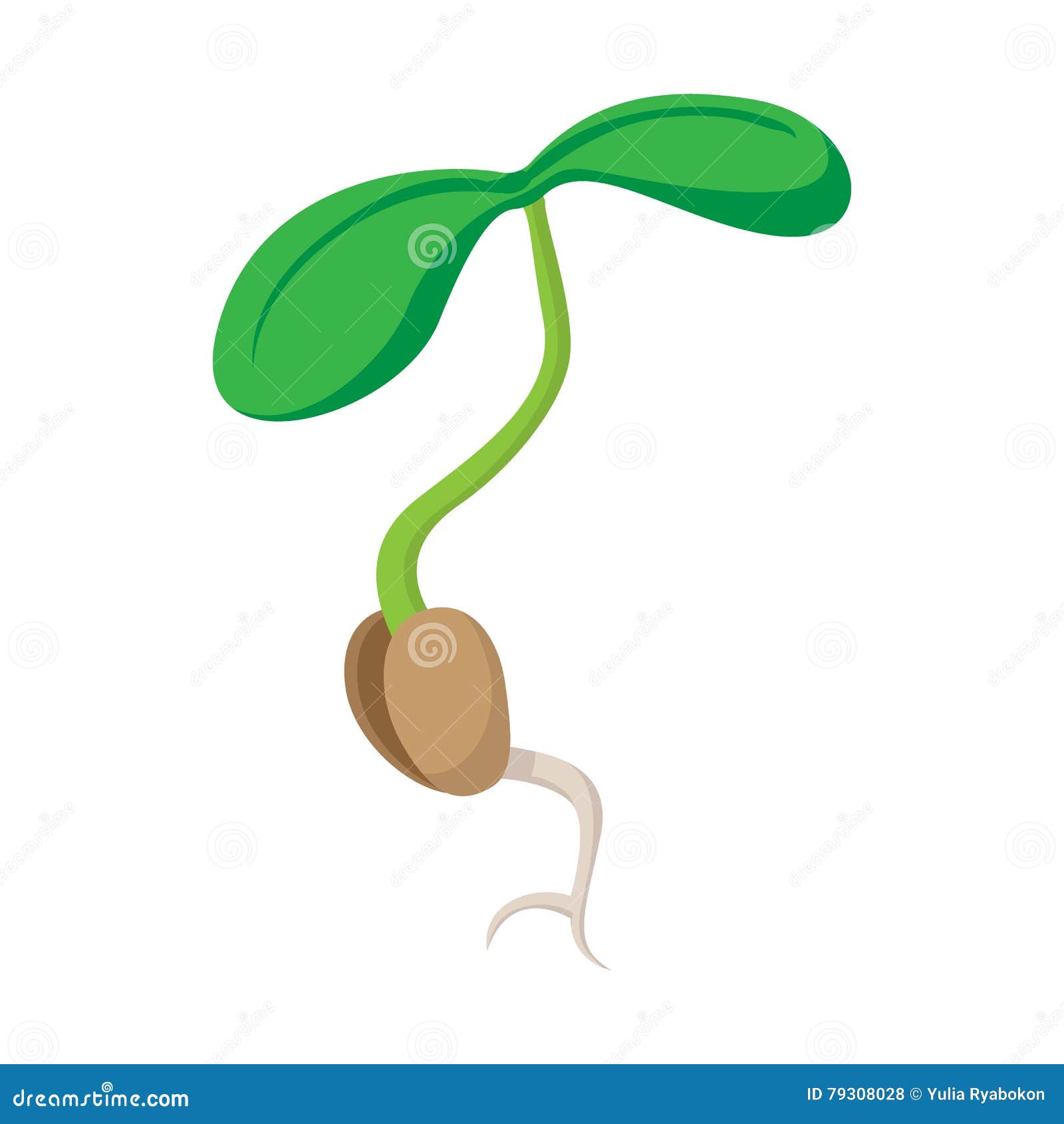Sprout icon, cartoon style stock vector. Illustration of almond - 79308028