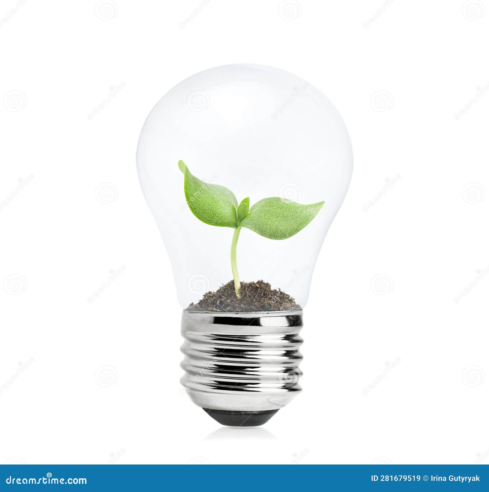 Sprout inside a light bulb stock image. Image of white - 281679519