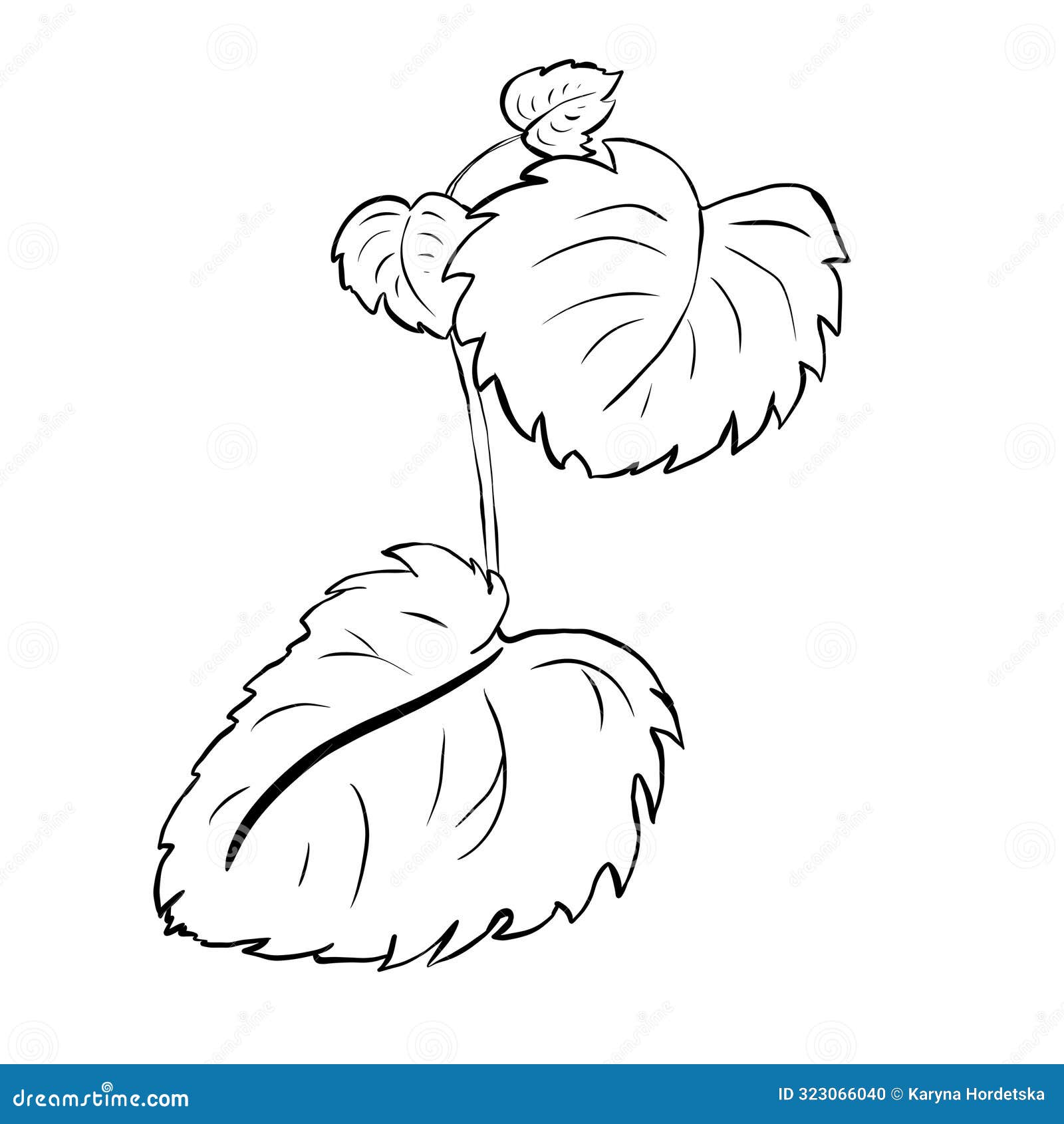 Sprout with Leaves with Sharp Edge, Line Art Illustration Stock ...