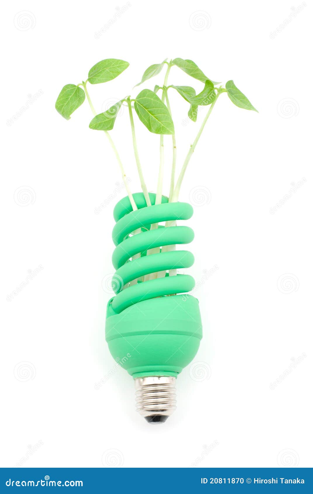 Sprout and light bulb stock photo. Image of light, isolated - 20811870