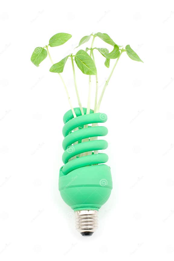 Sprout and light bulb stock photo. Image of light, isolated - 20811870