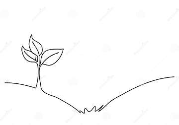 Sprout, One Line Drawing Vector Illustration Stock Vector ...