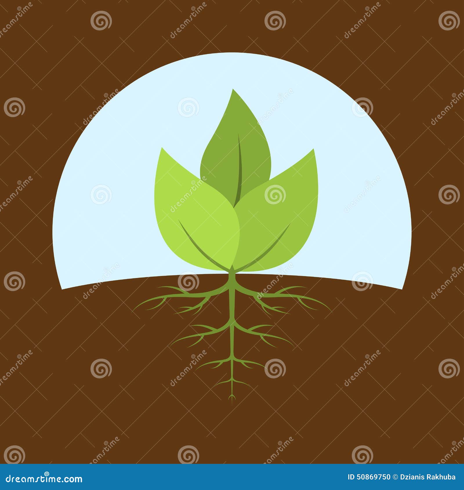 Sprout stock vector. Illustration of growth, biology - 50869750