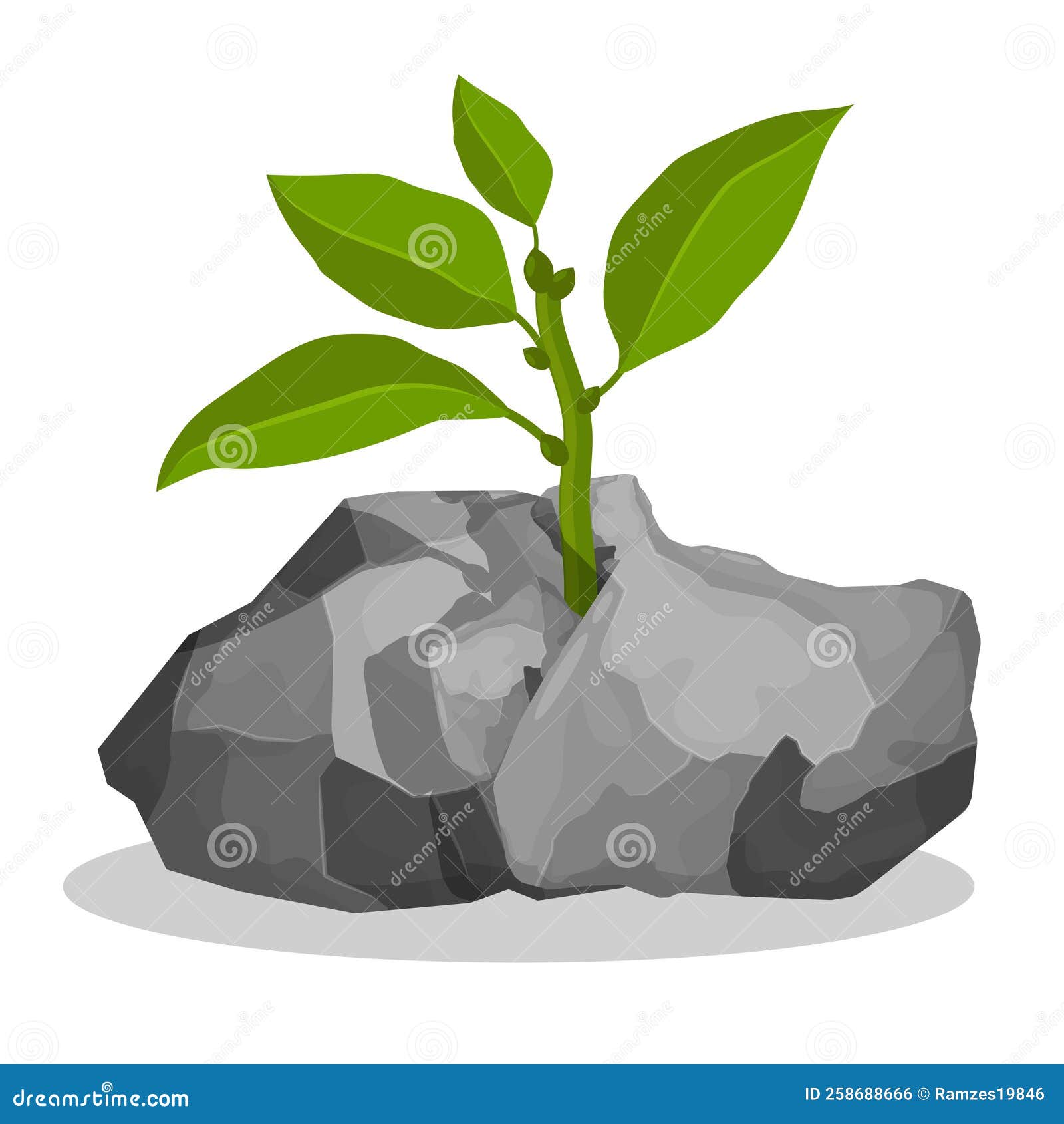 Natural Selection Vector Illustration. Explained Scheme With Life ... Natural Selection Vector Illustration. Explained Scheme With Life ...