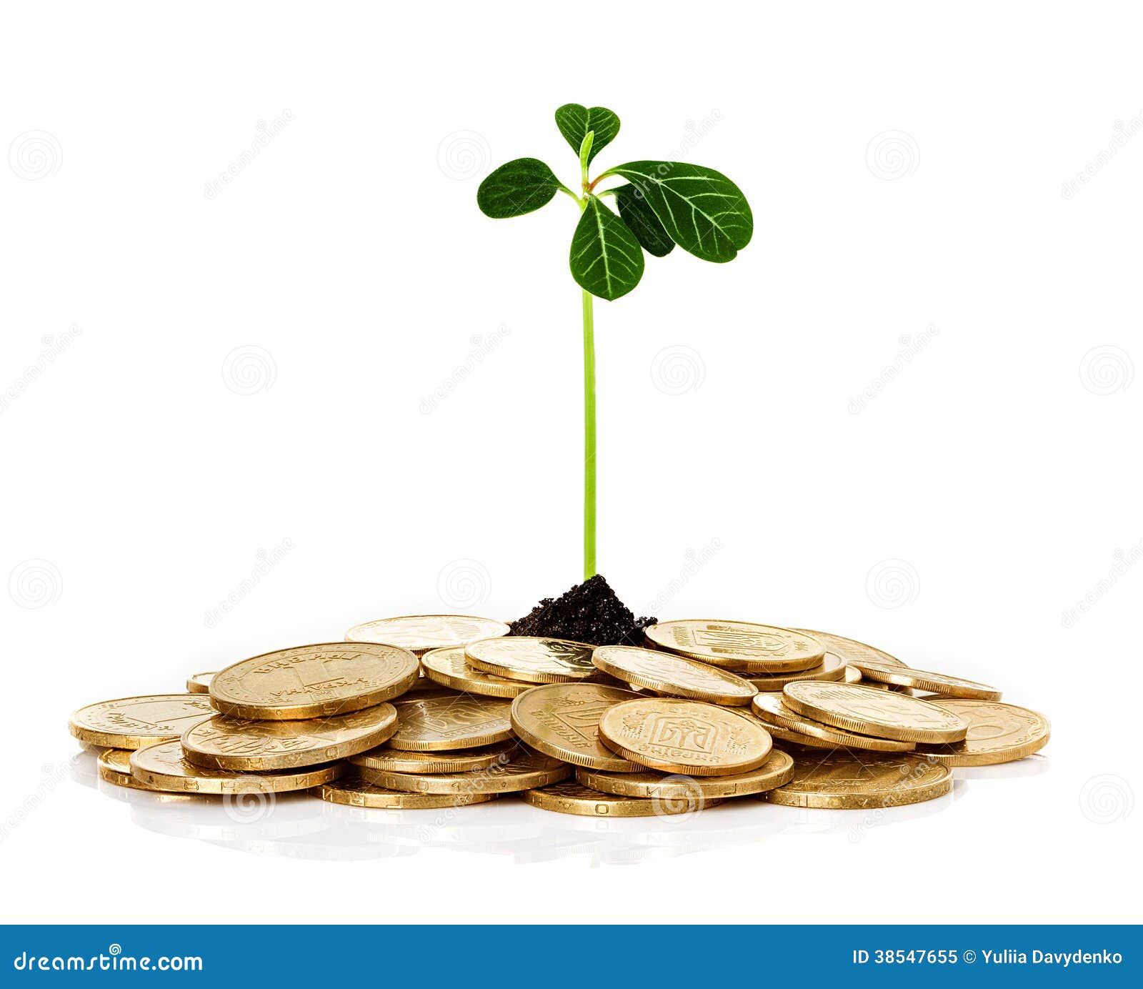 Sprout Plant Sprouting from Coins Stock Image - Image of grow, banking ...