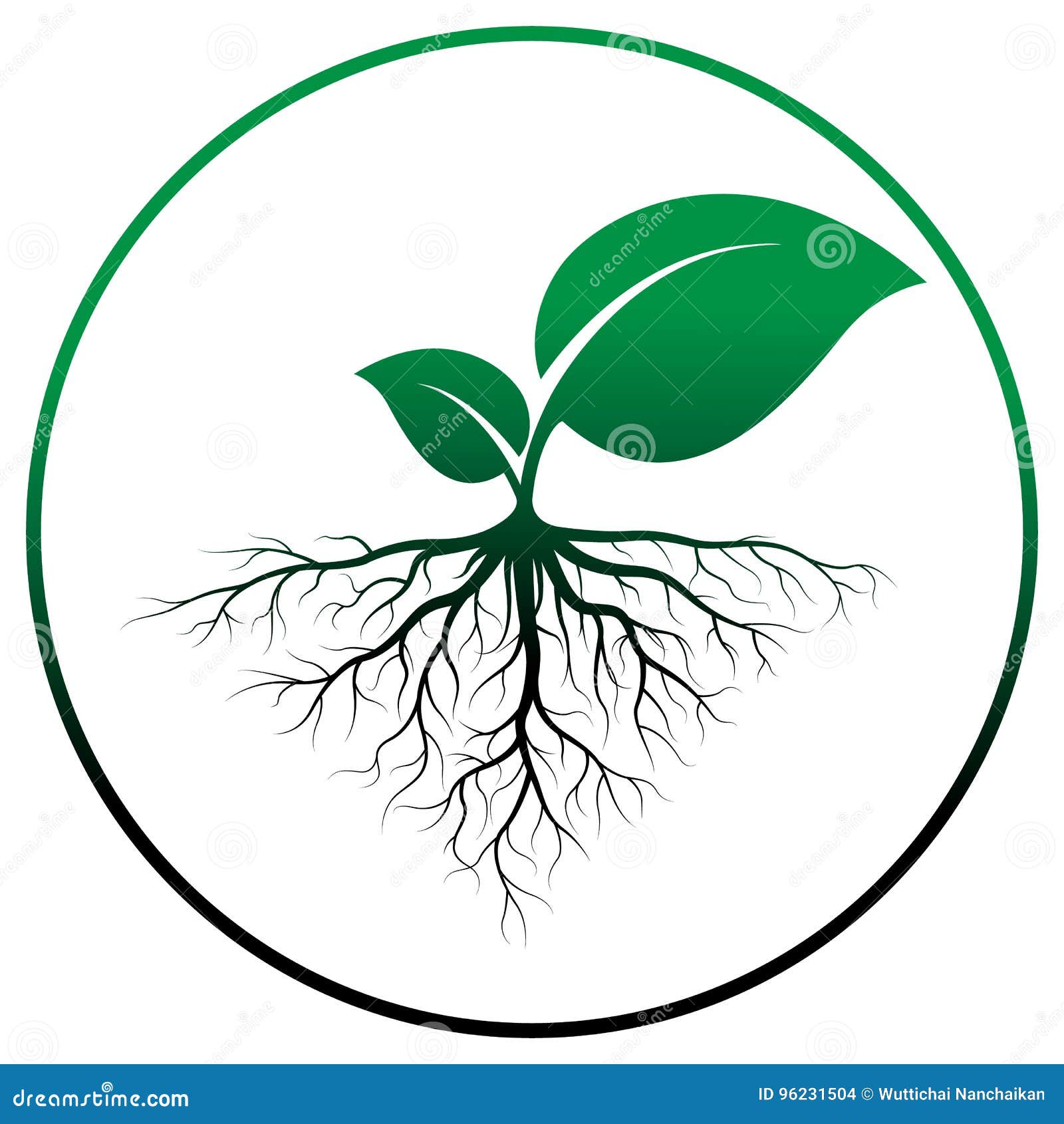 Sprout With Root Royalty-Free Stock Photo | CartoonDealer.com #36690759