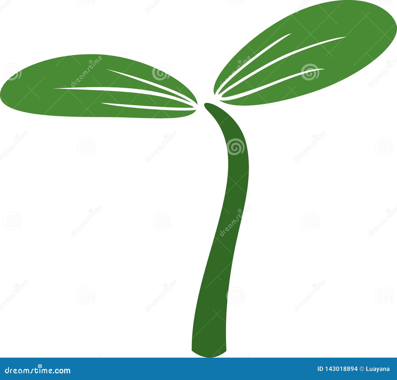 Sprout with Two Green Leaves Stock Vector - Illustration of leaf ...