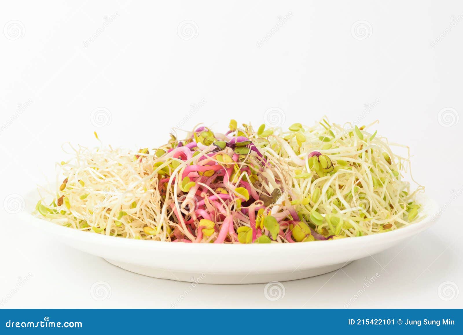 Sprout Vegetables on White Background Stock Image - Image of soft ...