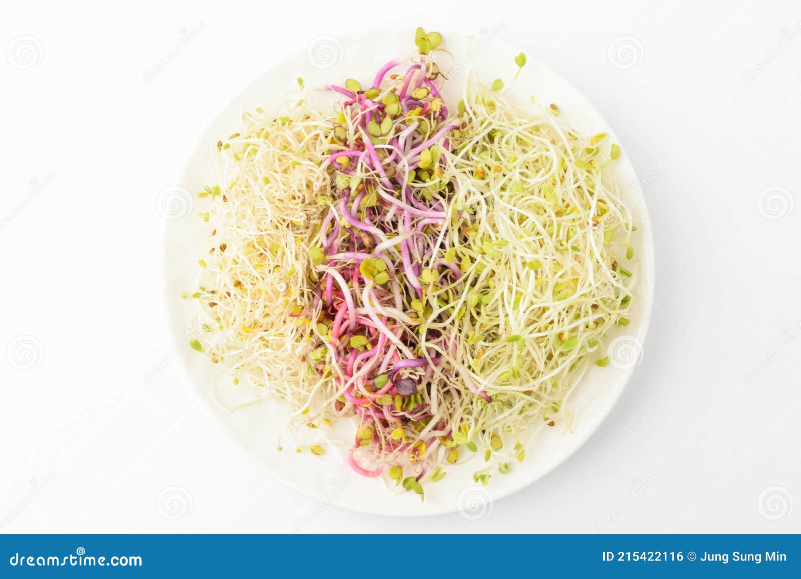 Sprout Vegetables on White Background Stock Photo - Image of stem, food ...