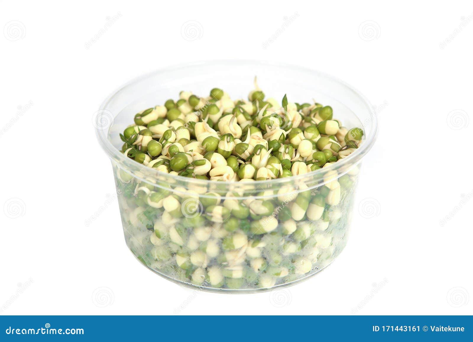 Fresh Beans Spouts in Plastic Box Isolated on White Background. Stock ...
