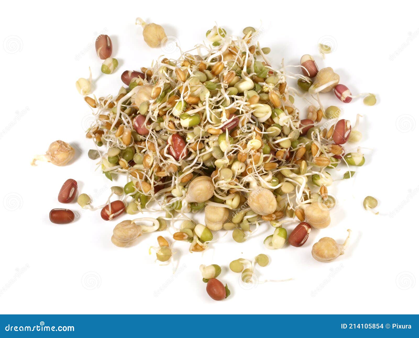 Sprouted Beans and Seeds on White Background - Isolated Stock Photo ...