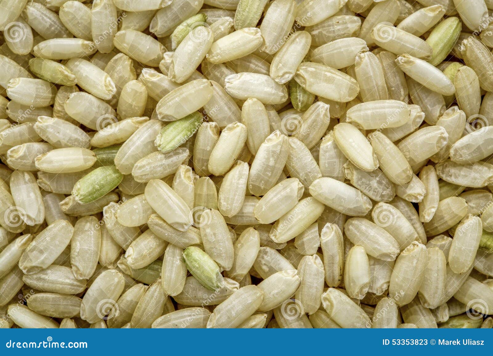Sprouted brown rice stock image. Image of sprouted, cereal - 53353823