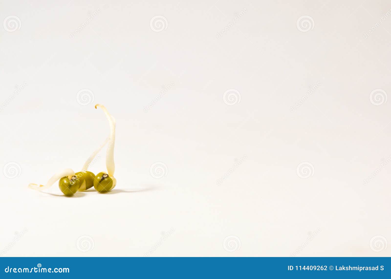 Sprouted Green Gram and Three Kept Different from Group on White ...