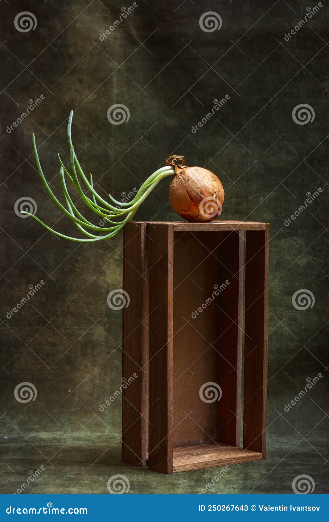 Sprouted Green Onions on Top of a Wooden Box Stock Image - Image of ...