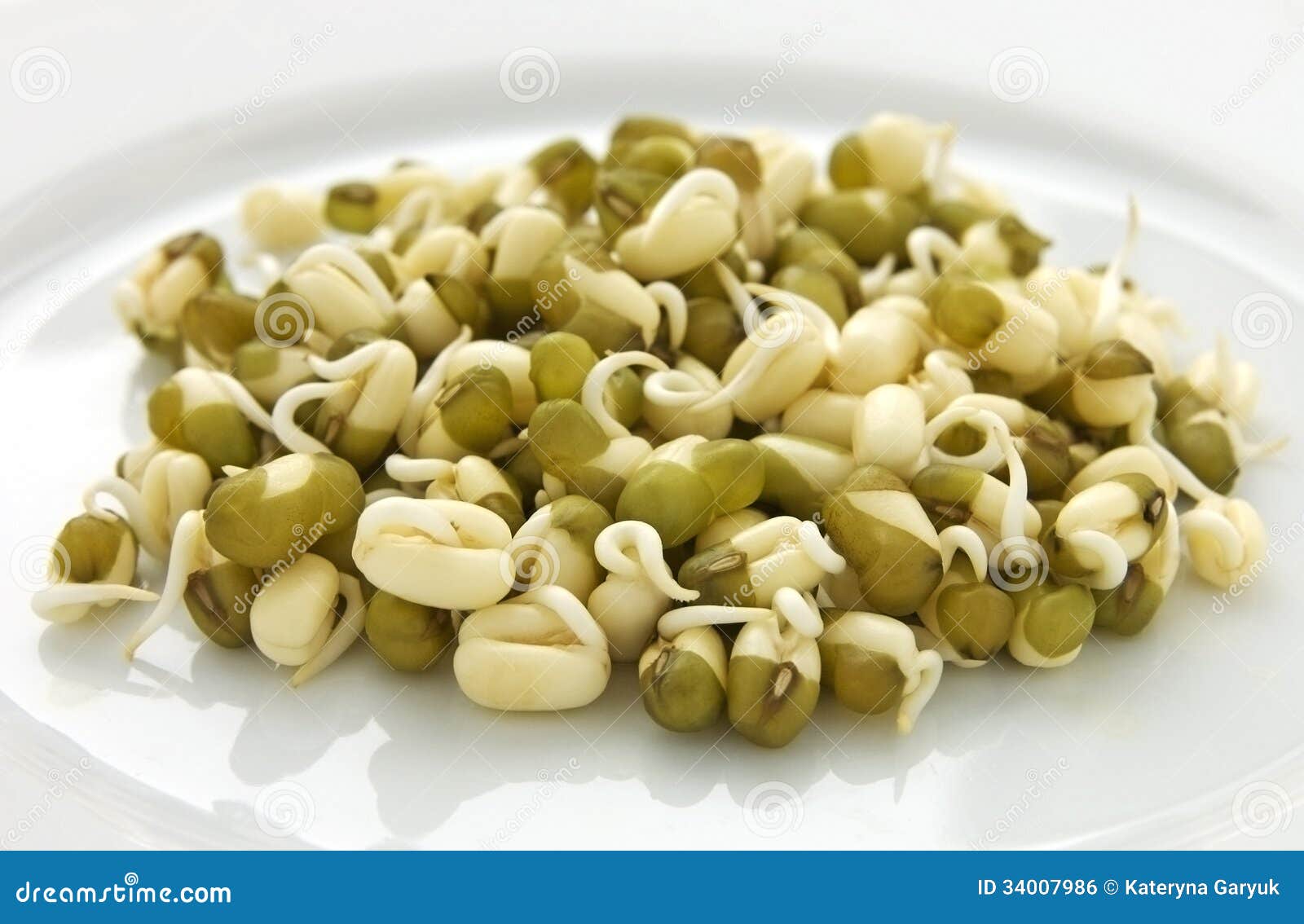Sprouted mung beans stock photo. Image of plate, nutritious - 34007986