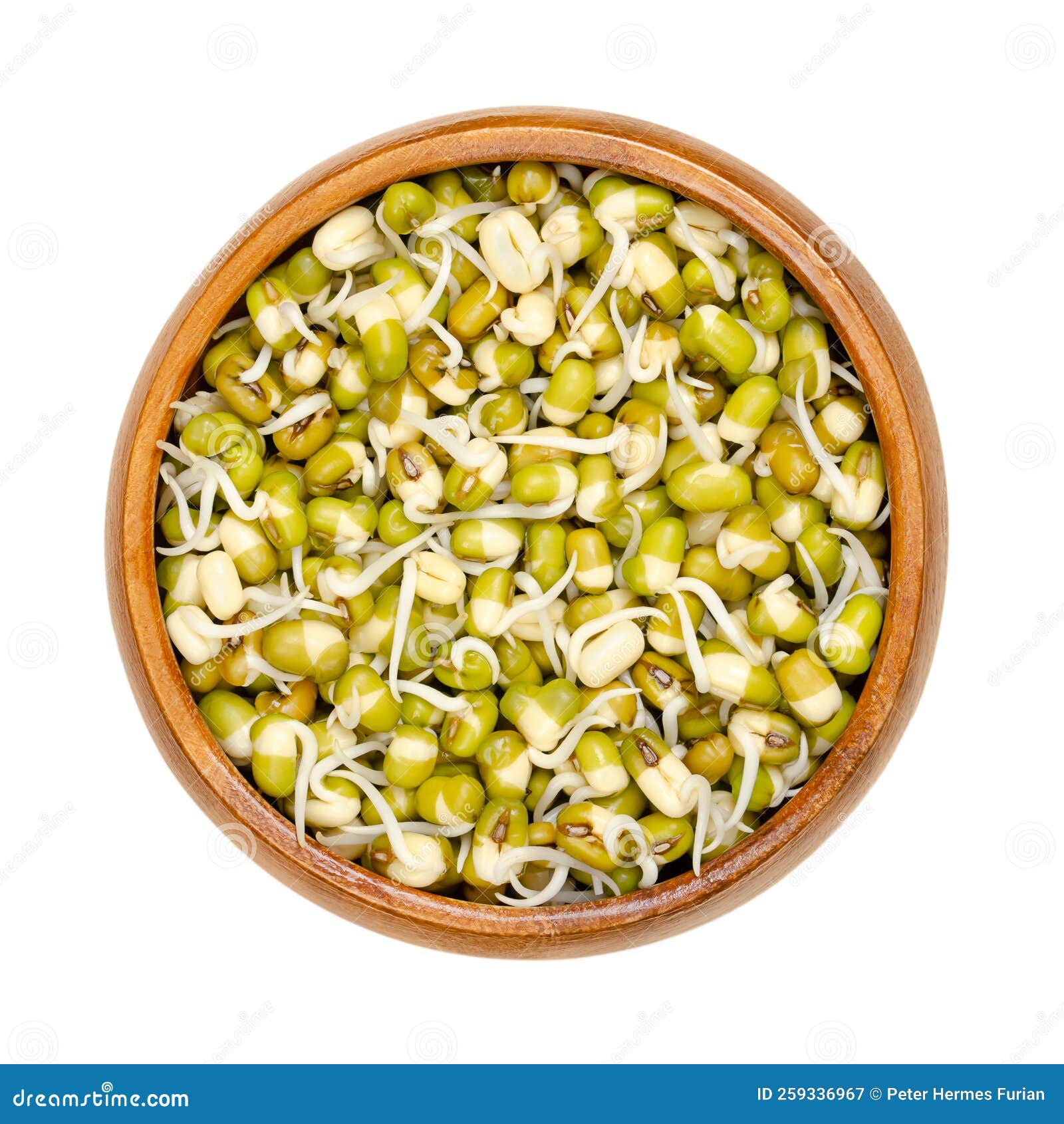 Sprouted Mung Beans, Mung Bean Sprouts in a Wooden Bowl, from Above ...