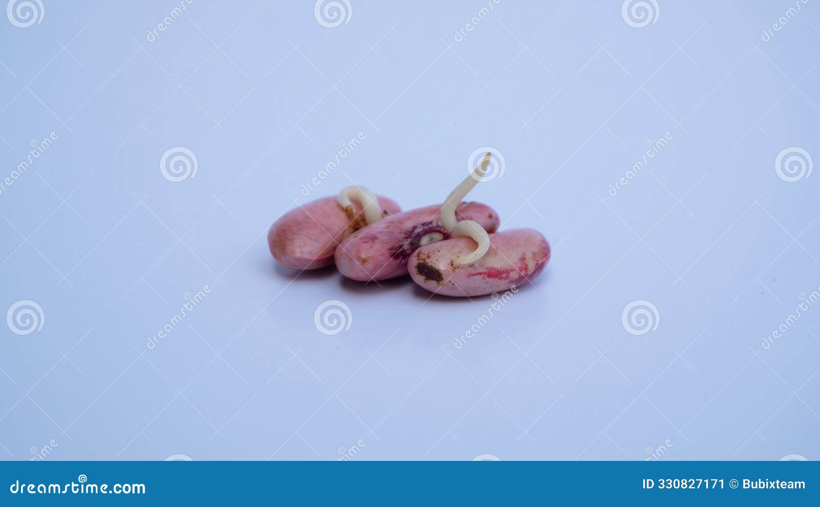 3 Sprouted Red Beans. Pile of Pinkish Beans with Some Displaying the ...
