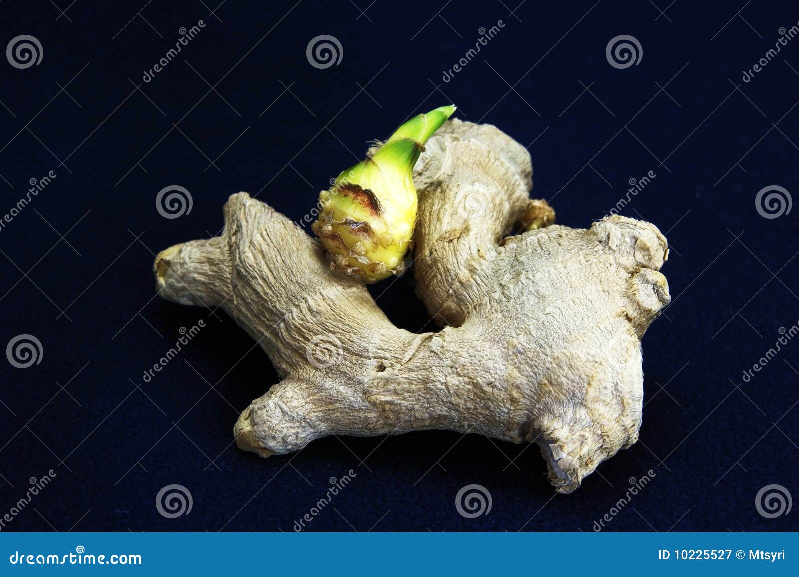 Sprouted or stale ginger stock image. Image of trashy - 10225527