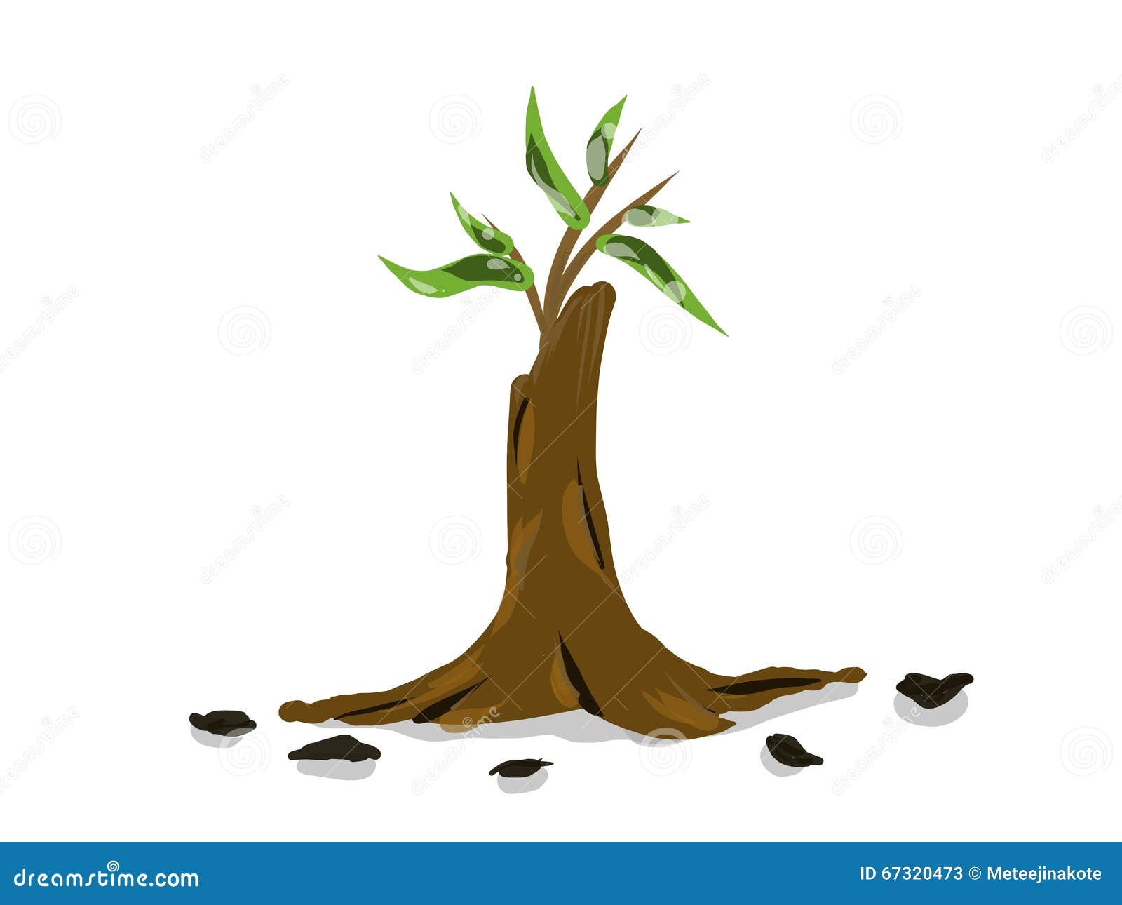 Sprouting Of Tree In Isolated Or White Background Royalty-Free Stock ...