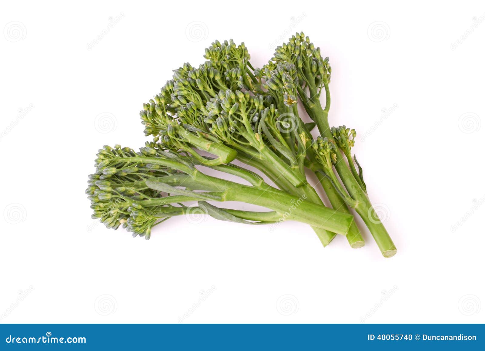 Sprouting Broccoli stock photo. Image of stem, crop, snack - 40055740