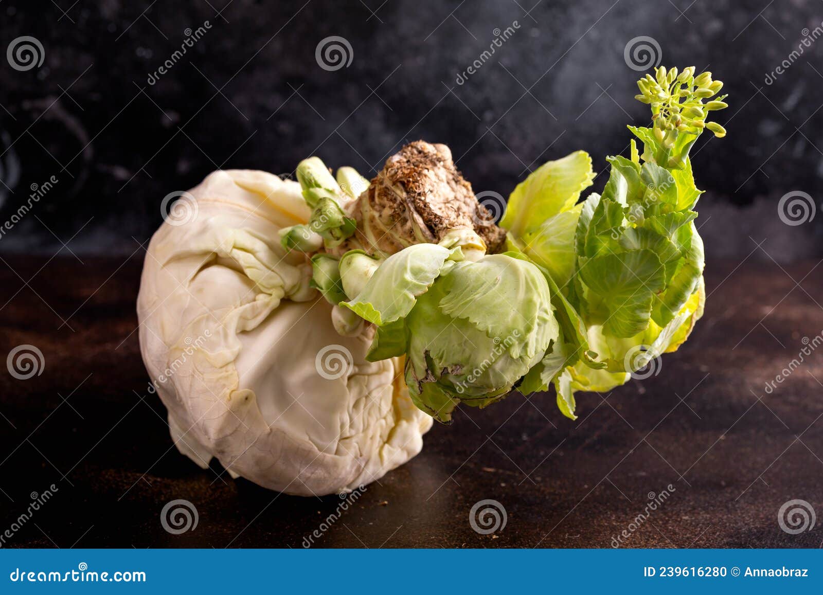 Sprouting Cabbage Stump, Stalk with Flowers and Young Leaves Stock ...
