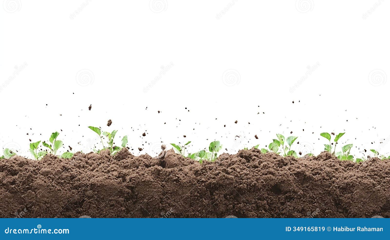 Sprouting Plants Growing , With Soil And A Blurred Background Royalty ...