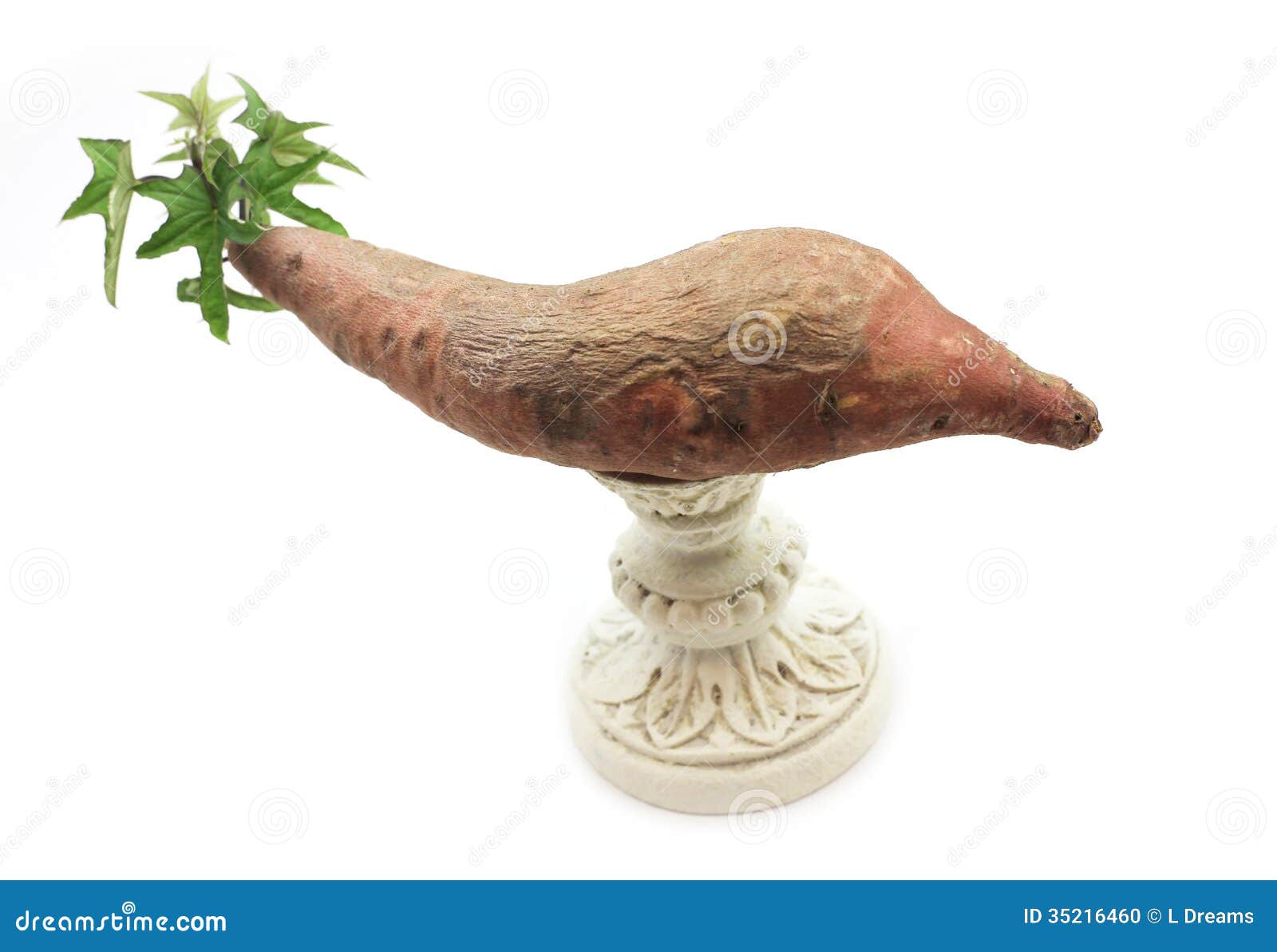 Sprouting Yam on a Pedestal Stock Photo - Image of leaf, garden: 35216460