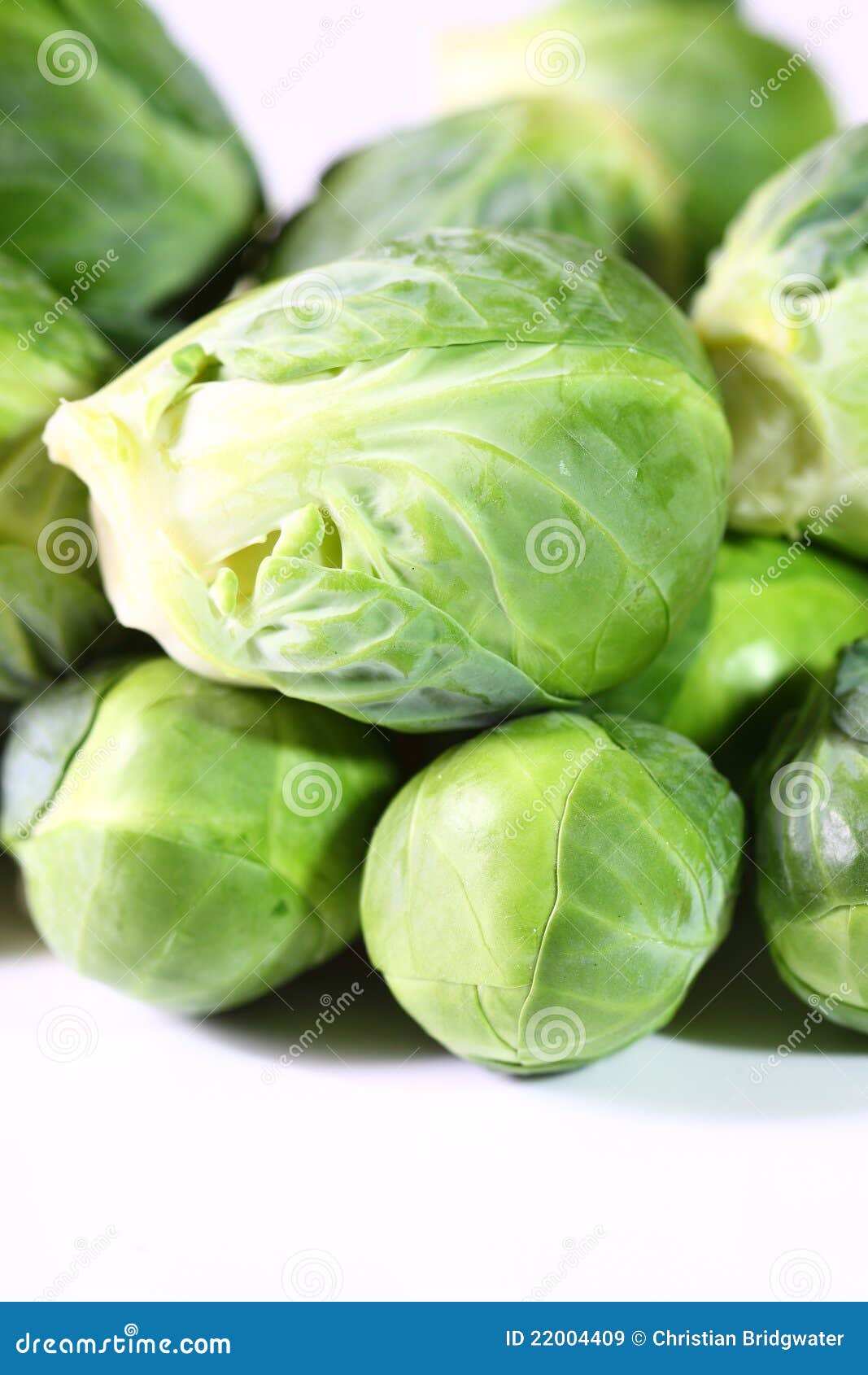 Sprouts stock image. Image of healthy, white, brussels - 22004409