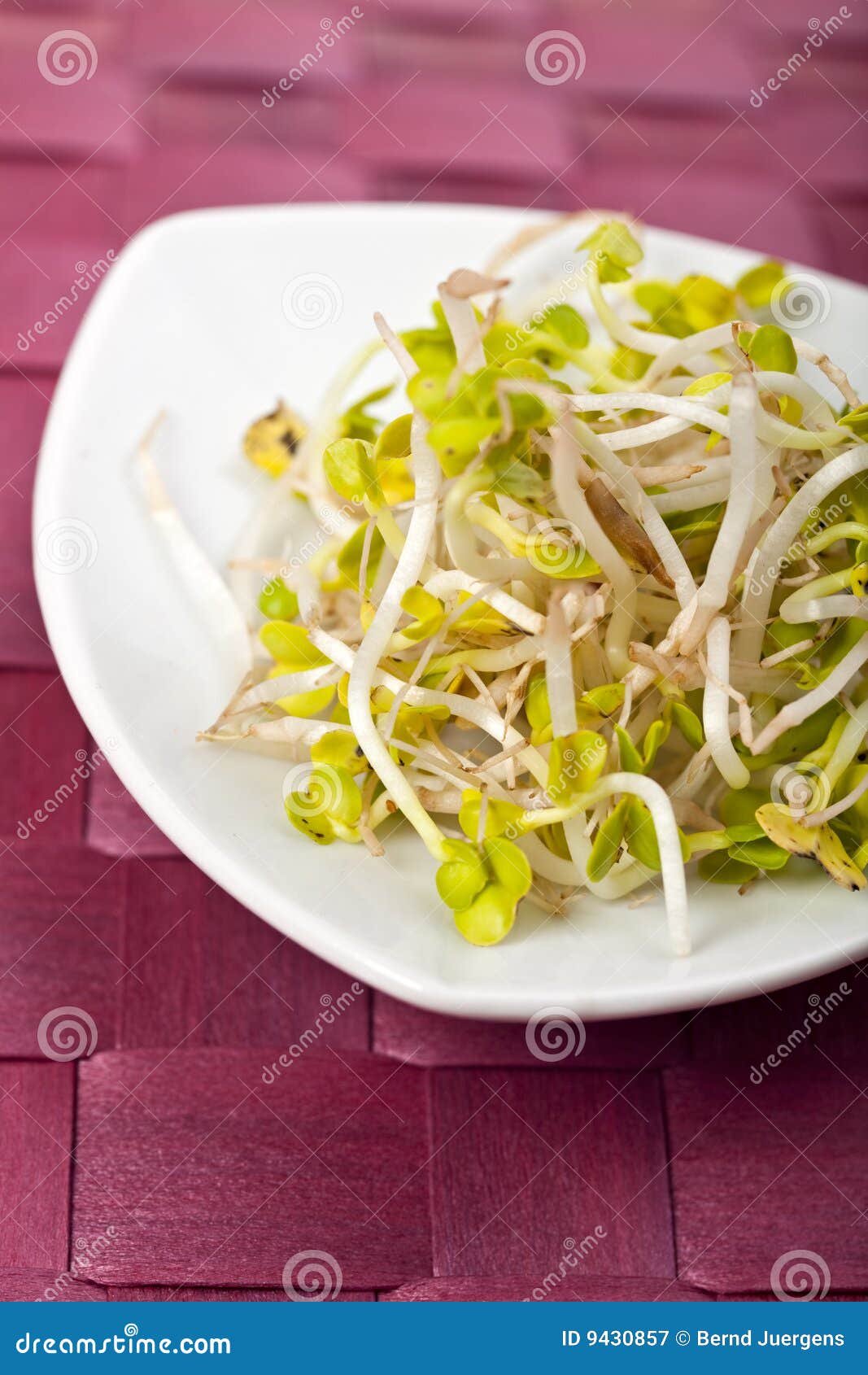 Sprouts stock image. Image of white, sprout, soya, decoration - 9430857