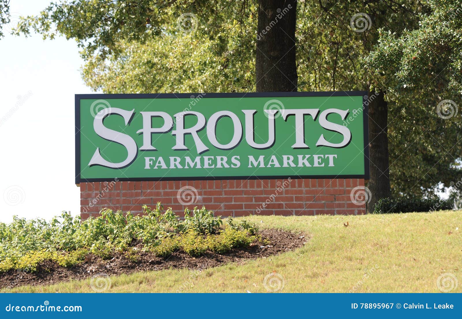 Sprouts Farmers Market Exterior Editorial Image | CartoonDealer.com ... Sprouts Farmers Market Exterior Editorial Image | CartoonDealer.com ...