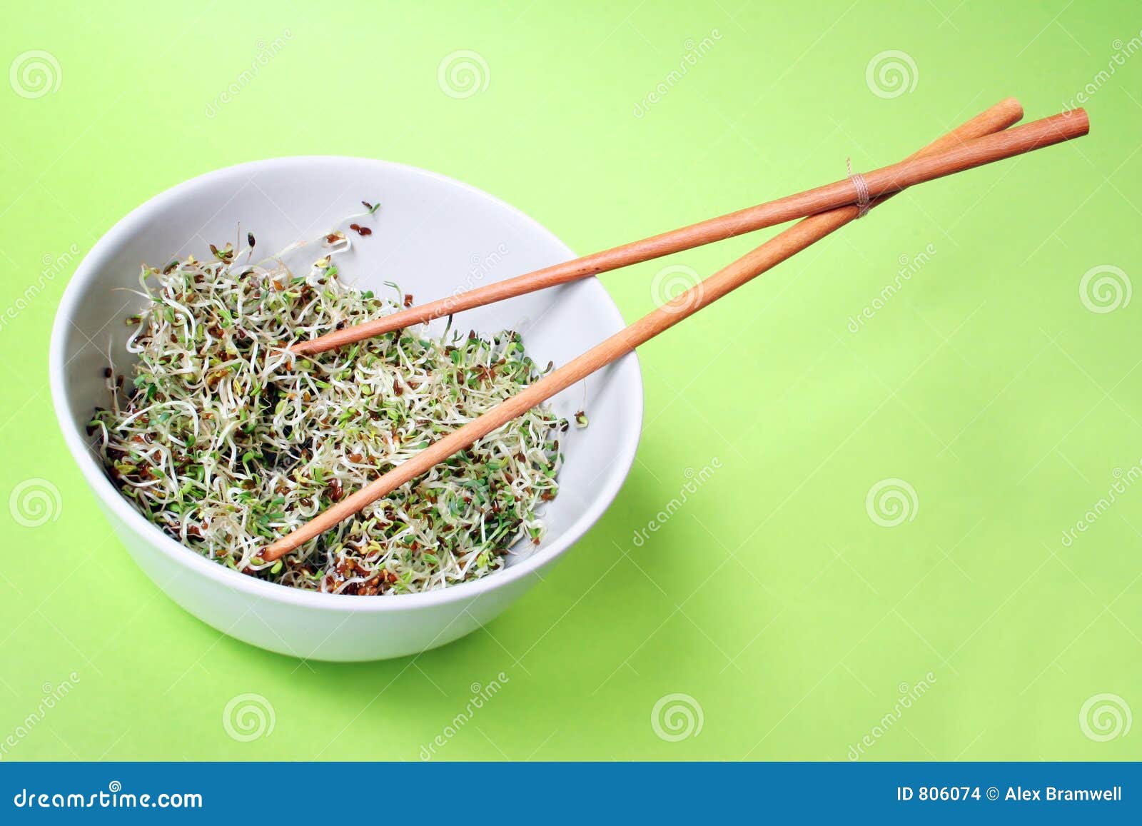 Sprouts on green stock photo. Image of bowl, seed, sprout - 806074