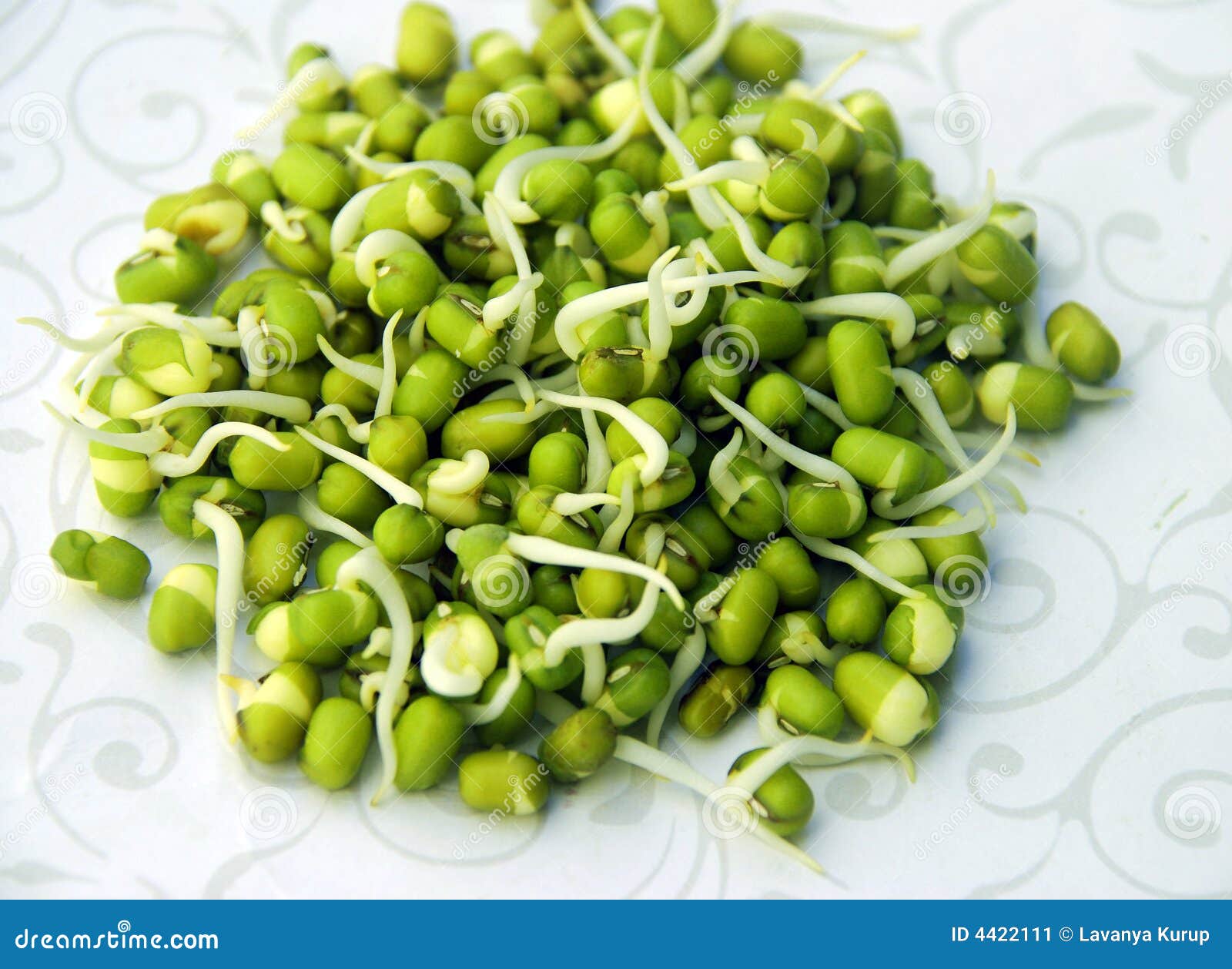 Greengram Sprouts How To Make Sprouts At Home – Moong Bean Sprouts