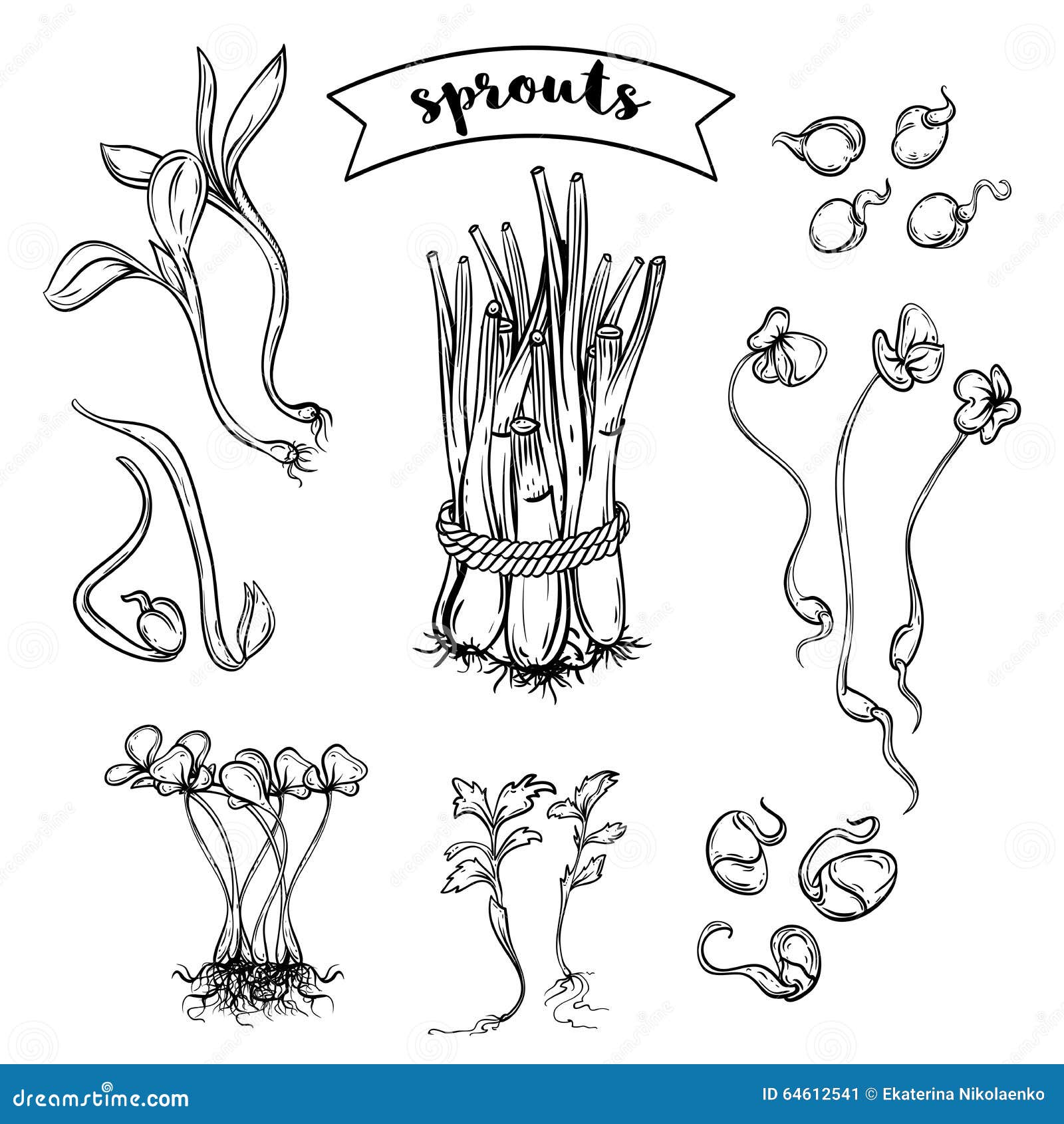 Sprouts Plants Set. Isolated Elements Stock Vector - Illustration of ...