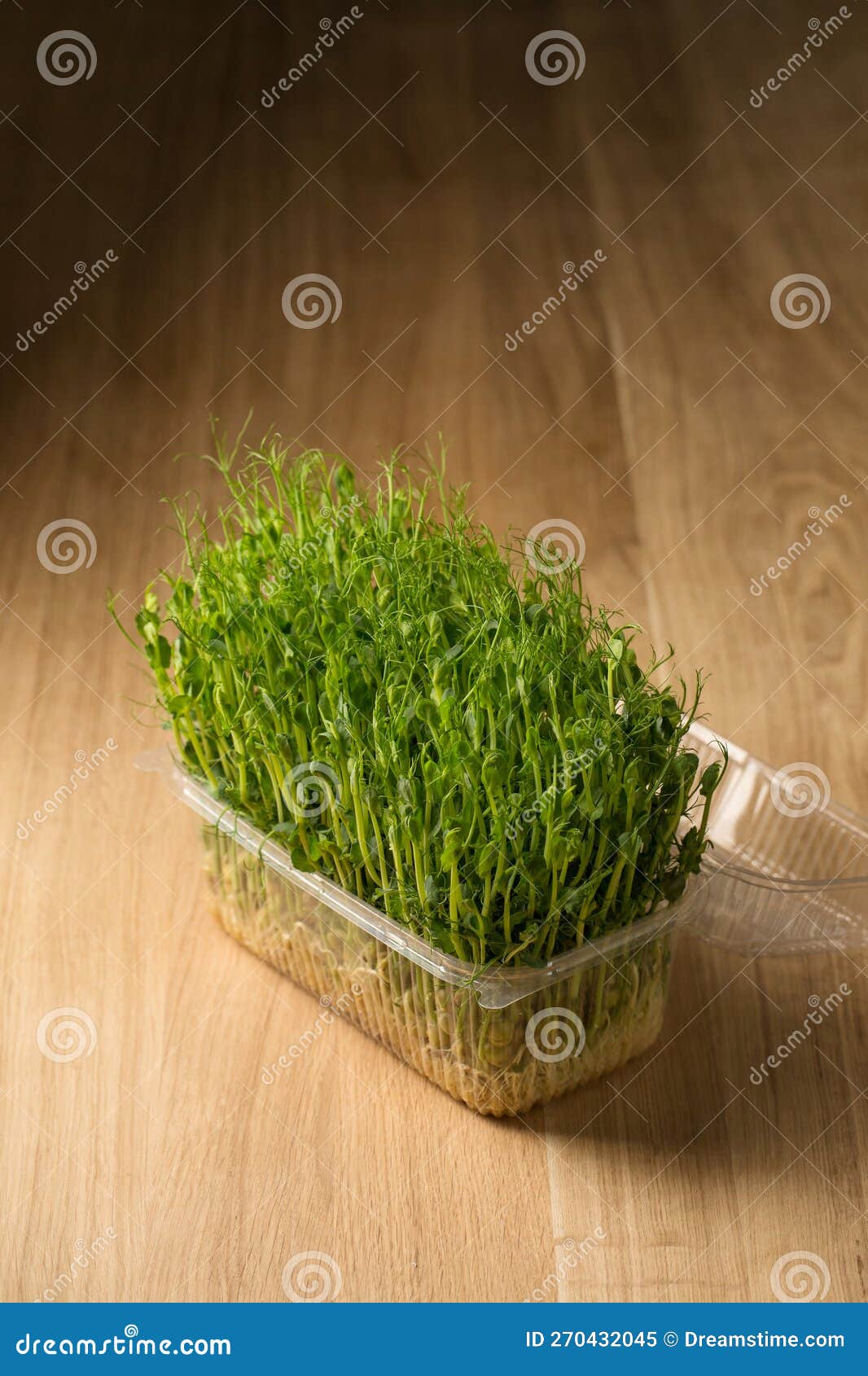 Sprouts of Sprouted Peas, Microgreens in a Box on a Table Stock Image ...