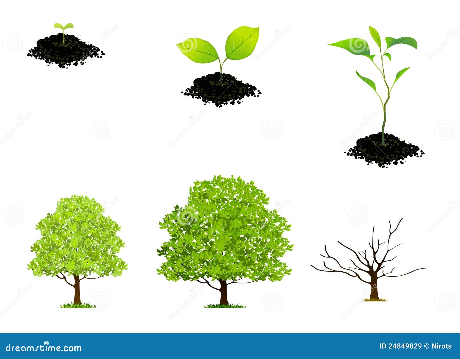 Sprouts And Tree Isolated On White Background Stock Illustration ...