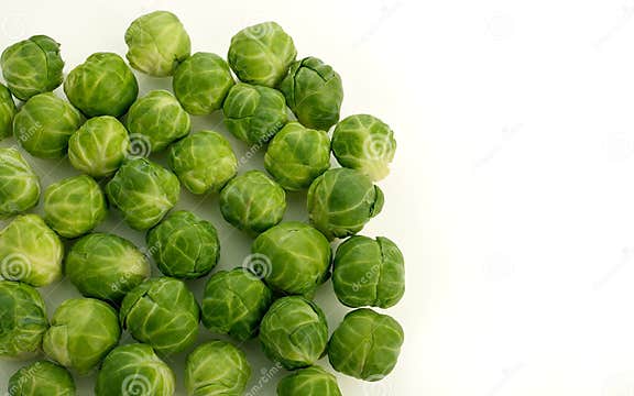 Sprouts on White Background Stock Image - Image of fresh, brussels ...
