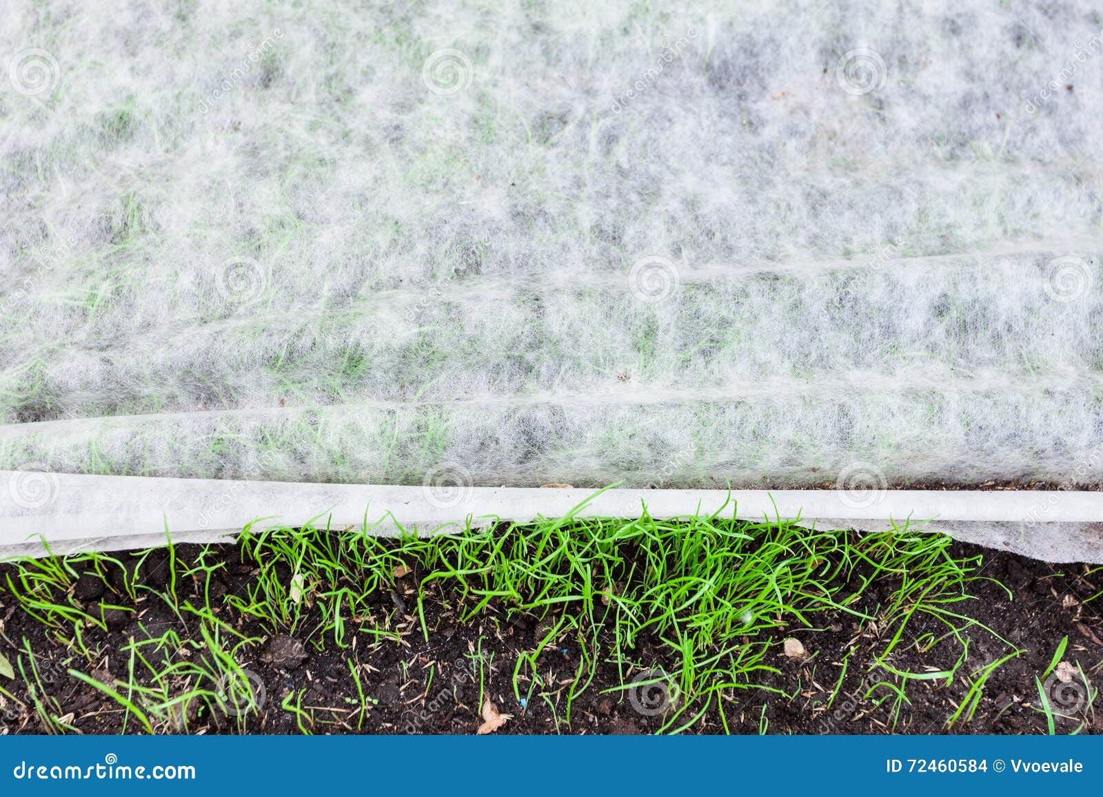 Mulching Fabric Stock Photos - Free & Royalty-Free Stock Photos from ...