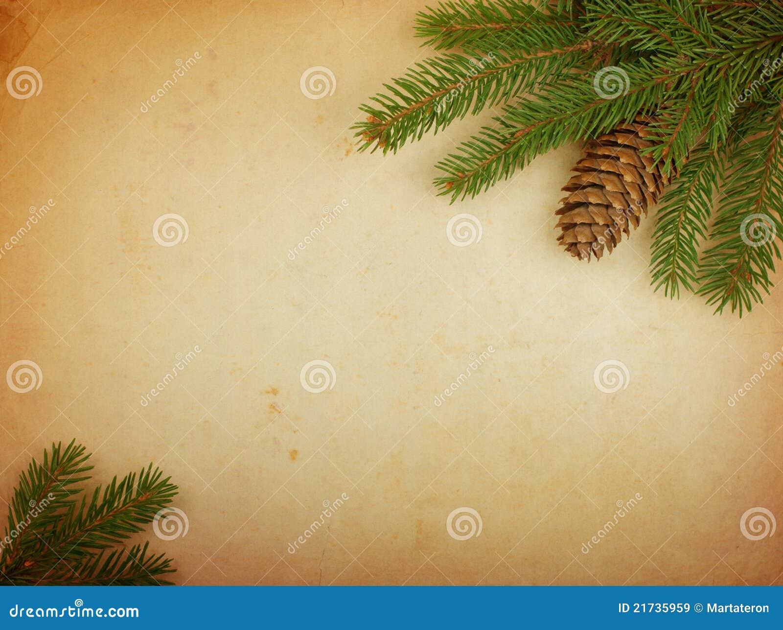 Spruce branch on old paper stock image. Image of cone - 21735959