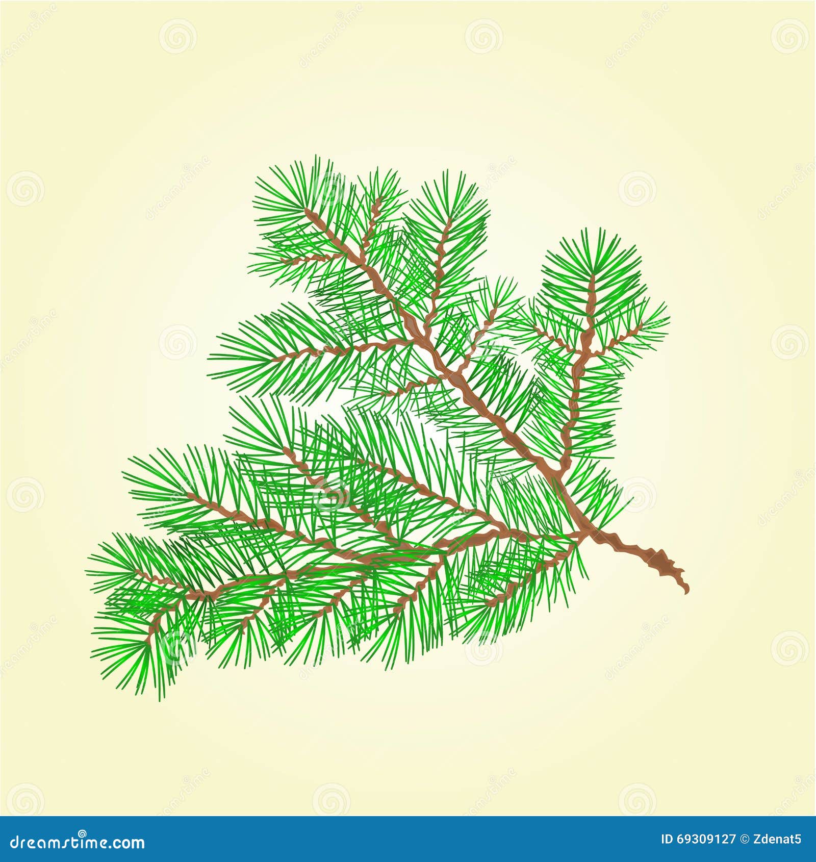 Spruce branch vector stock vector. Illustration of needles - 69309127