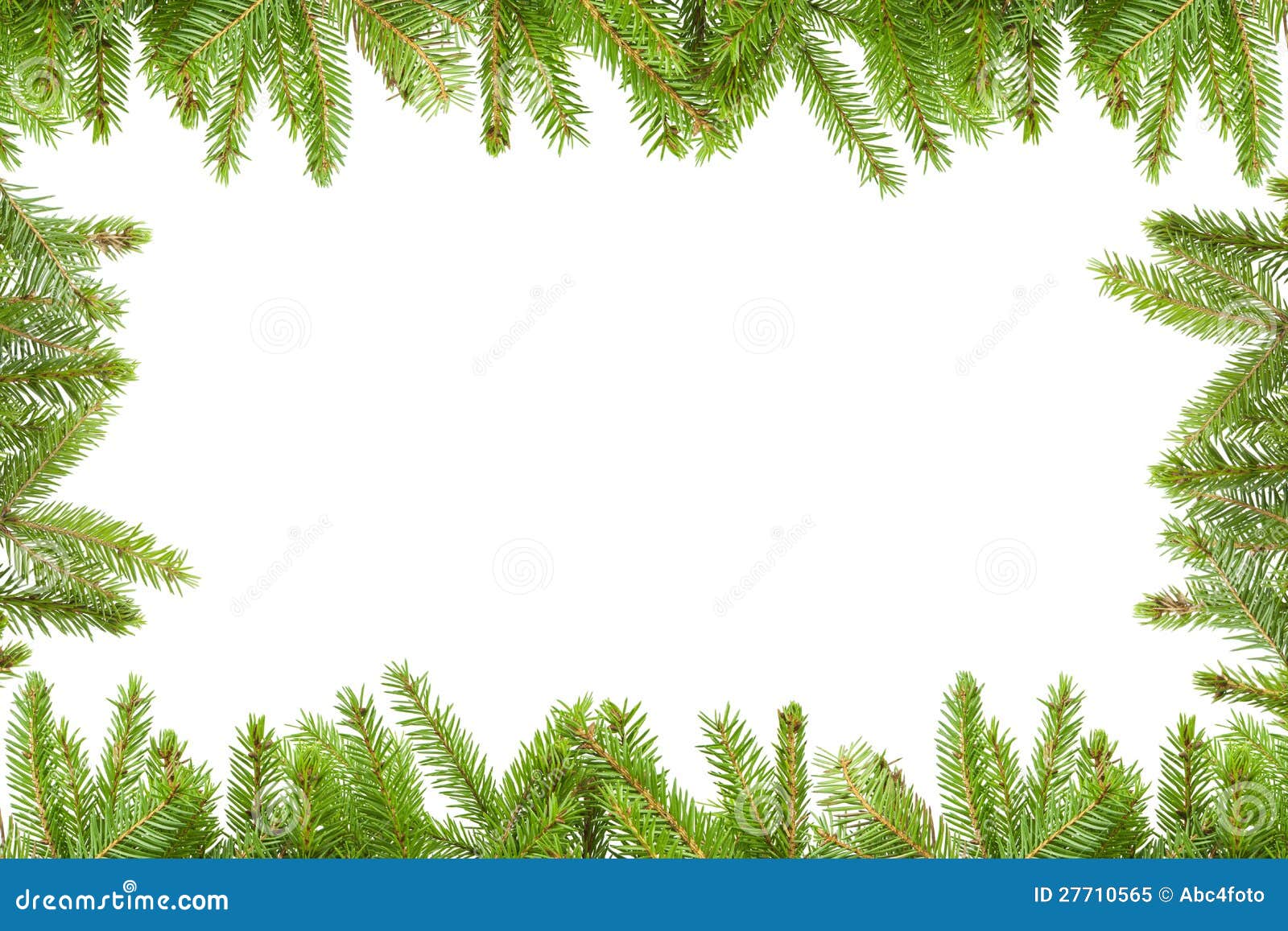 Spruce branches stock image. Image of concept, framework - 27710565