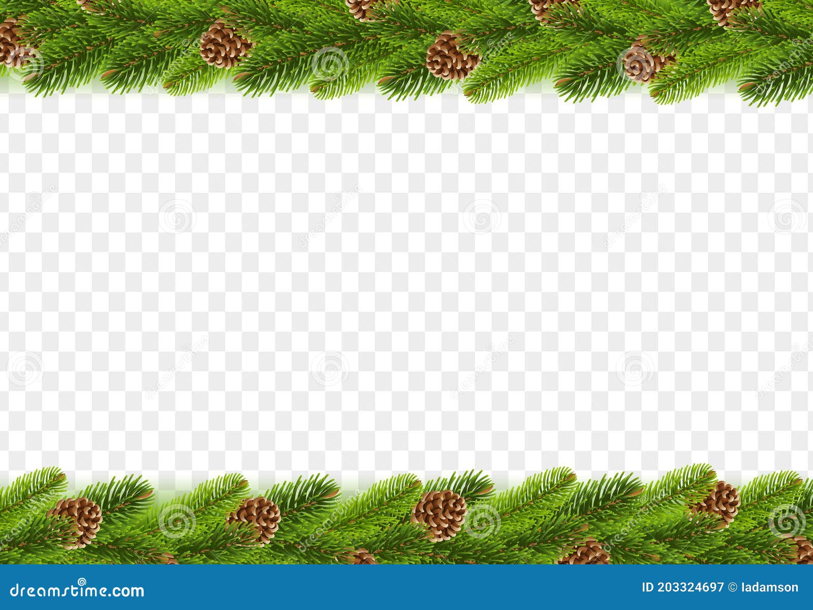 Spruce Branches with Cones Border with Transparent Background Stock ...