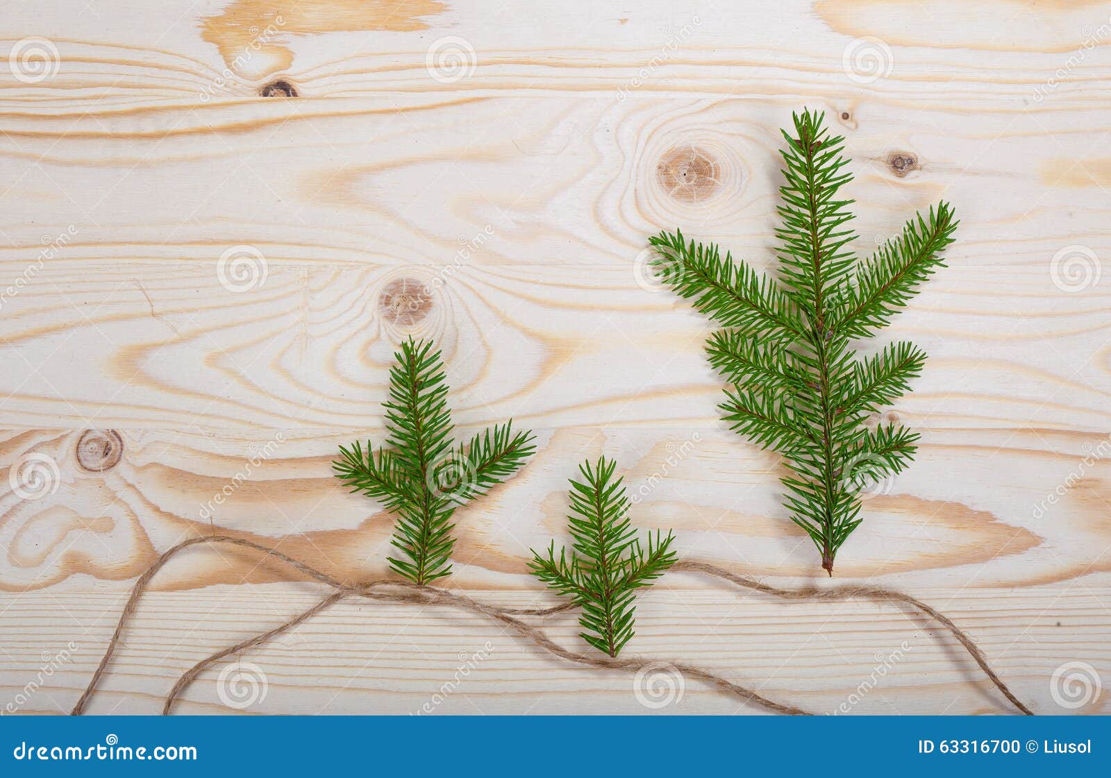 Spruce Branches Wood Texture Stock Photo - Image of branches, spruce ...